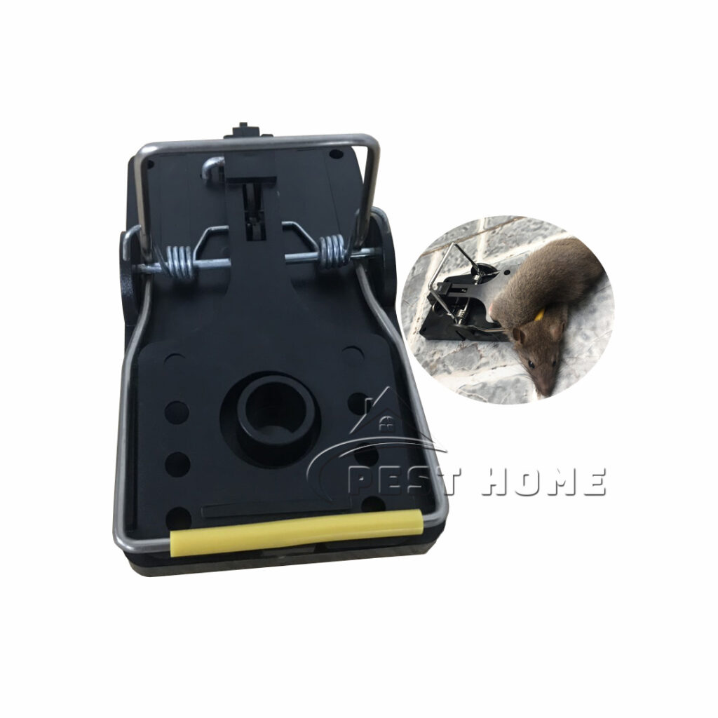 Bẫy chuột dạng kẹp thông minh bẫy chuột hiệu quả dạng kẹp